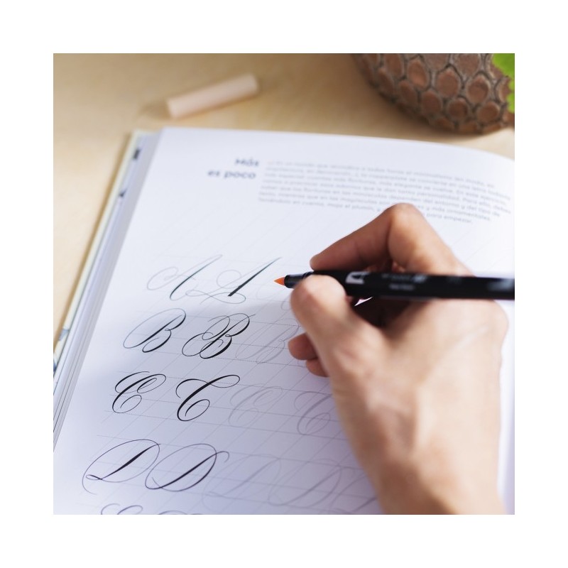 CALIGRAFÍA CREATIVA 3, LETTERING, MANUAL PARA LOS ENAMORADOS DE LA ...
